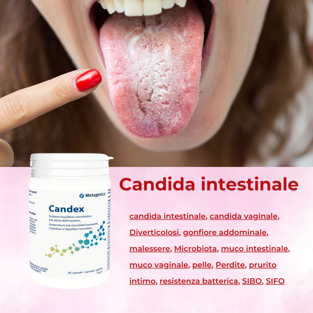 Candex - Success Club Professional